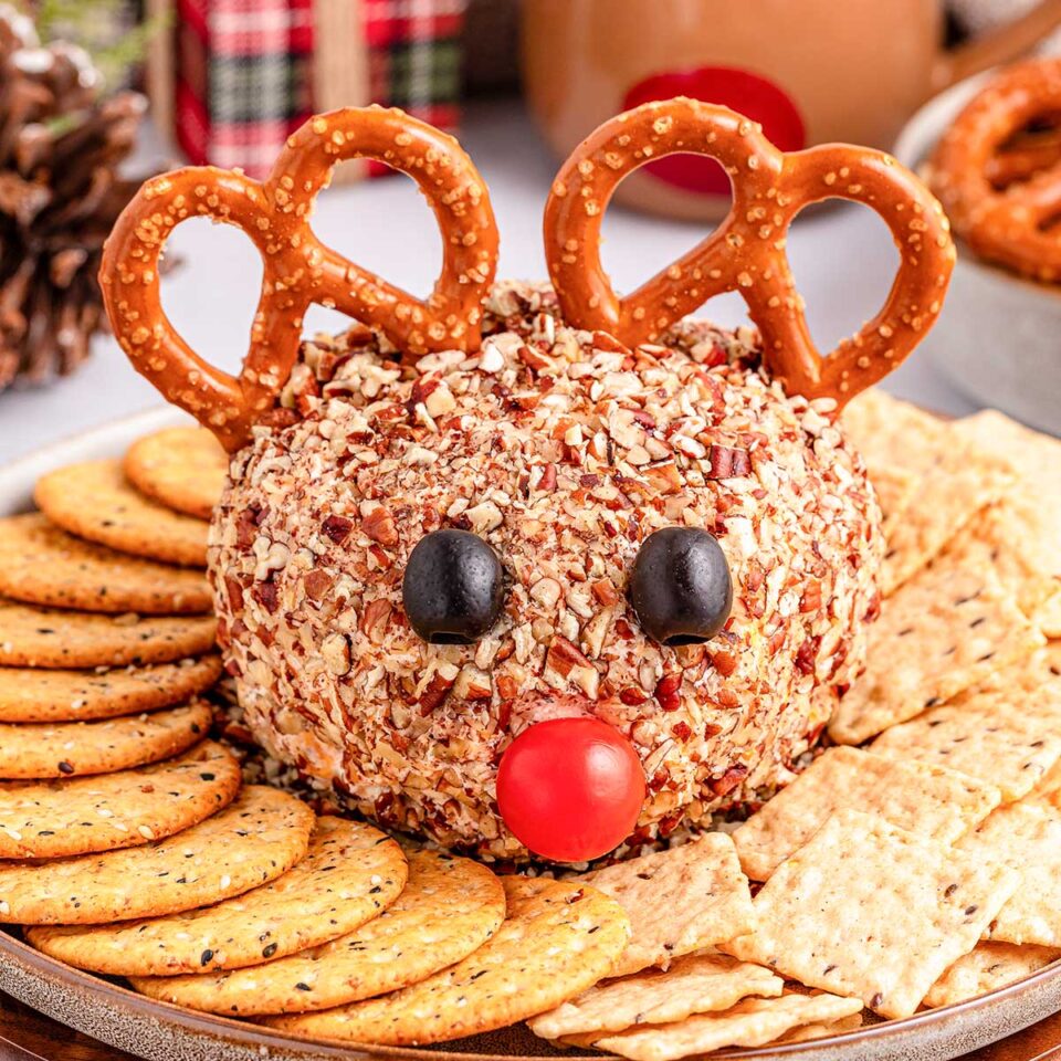 Reindeer Cheese Ball (Perfect Christmas Appetizer) – Adore Foods