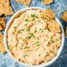 Best Chicken Dip Recipes – Adore Foods