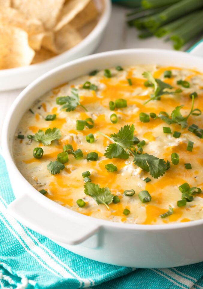 Best Chicken Dip Recipes – Adore Foods